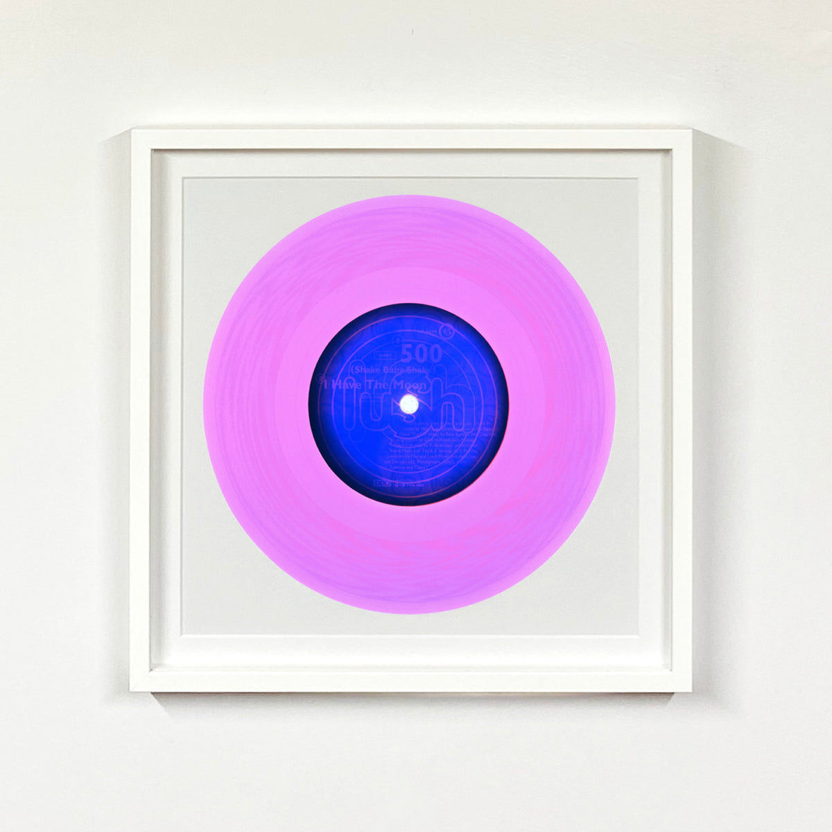 Sixteen Piece B Side Vinyl Collection – Bleach Box Photography Gallery